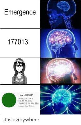 177013 - Truyện Metamorphosis hay Emergence là gì?