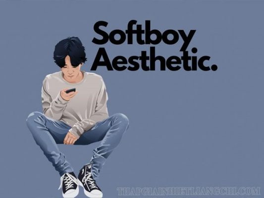 Softboy là gì? Egirl là gì? Eboy là gì? Lý do Eboy được yêu thích