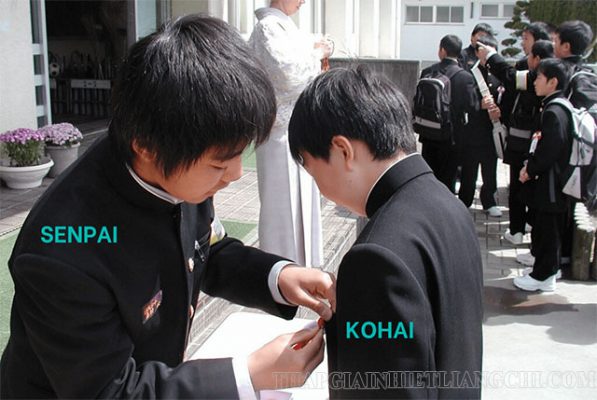 Senpai là gì? Kohai là gì trong tiếng Nhật? Mối quan hệ giữa Senpai & Kohai