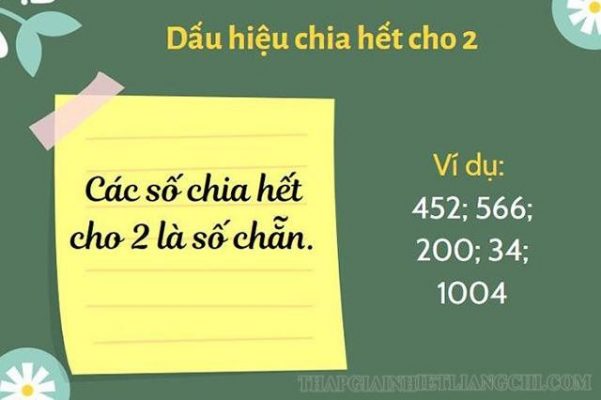 Dấu hiệu chia hết cho 2? Bài tập các số chia hết cho 2