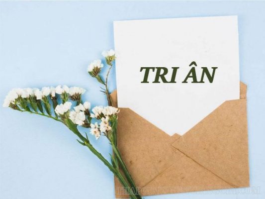 Tri ân là gì? 7 Cách thể hiện lời cảm ơn tri ân tinh tế nhất