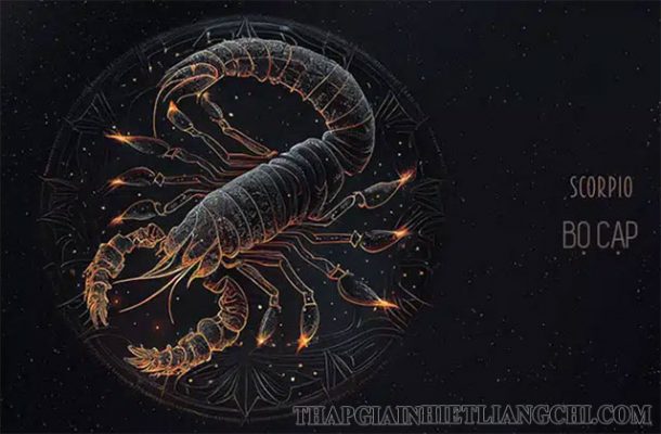 Hổ cáp là cung gì, sinh tháng mấy? Đặc điểm tính cách