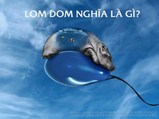 Lom dom là gì? Dấu hiệu nhận biết người có tính lom dom